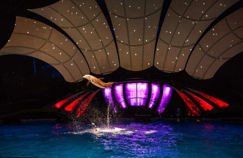 Atlanta: Georgia Aquarium Skip-the-Box-Office Entry Ticket - Final Thoughts