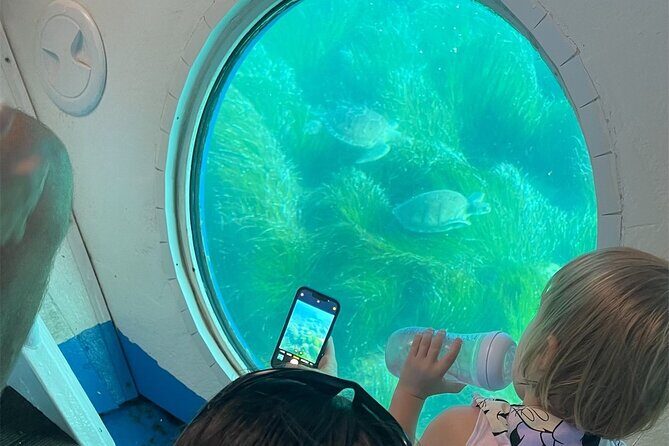 Atlantis Turtle Watching Cruise & Snorkelling Adventure - Key Points