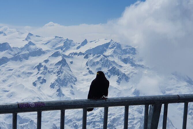 Attraction Ticket: Mt. Titlis by Train and Cableway from Lucerne - Frequently Asked Questions