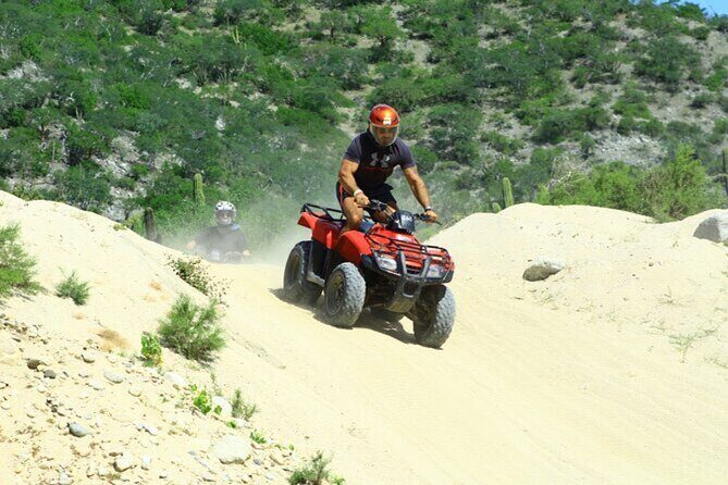 ATV Adventure and Tacos at Migriño Beach - The Reviews: Authentic Perspectives and Insights  