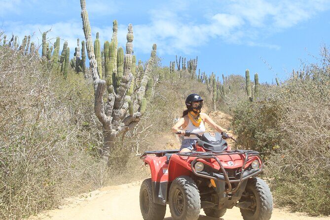 ATV and Camel Experience Los Cabos - Final Thoughts