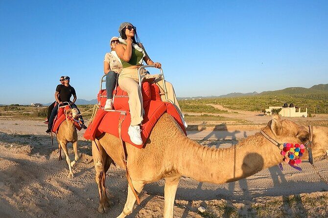 ATV and Camel Ride Combo Tour in Los Cabos - Exploring the Details of the Tour