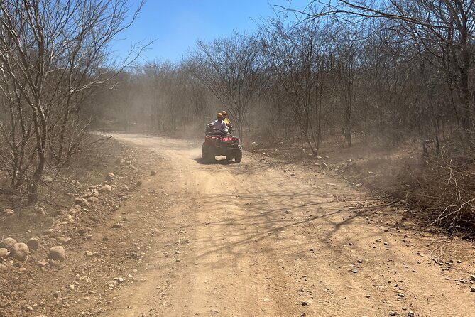 ATV and Horseback riding Combo Tour from Mazatlán - The Sum Up