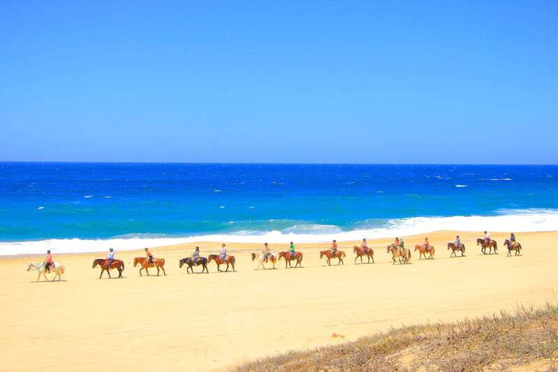 ATV Automatic 4X4 & Horseback riding in Cabo by Cactus Tours - The Experience in Detail
