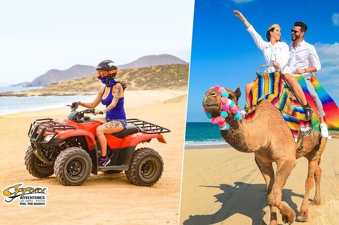 ATV & Camel Ride Tour on Migriño Beach - Exploring the ATV & Camel Ride Tour on Migriño Beach: An Authentic Dose of Baja Adventure