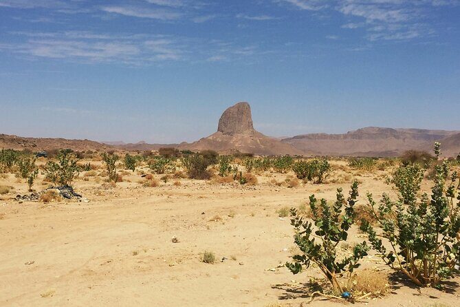 ATV Desert Adventure in Baja California Sur with Tequila Tasting - Who Will Love This Tour?
