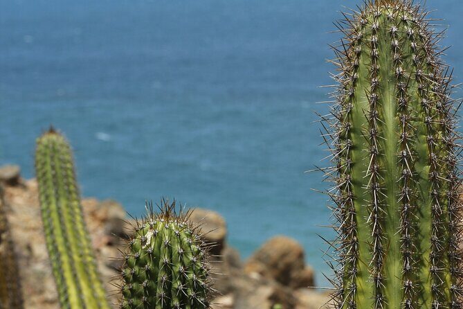 ATV Desert Adventure in Baja California Sur with Tequila Tasting - FAQs
