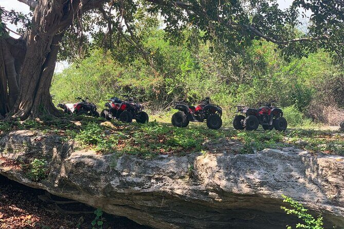 ATV Jungle Adventure to Hidden Mayan Ruins and Caves - Whats Included and Practical Details