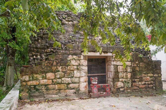 ATV Mud Kicking and Snorkeling by Boat in Cozumel - What to Expect from the Tour