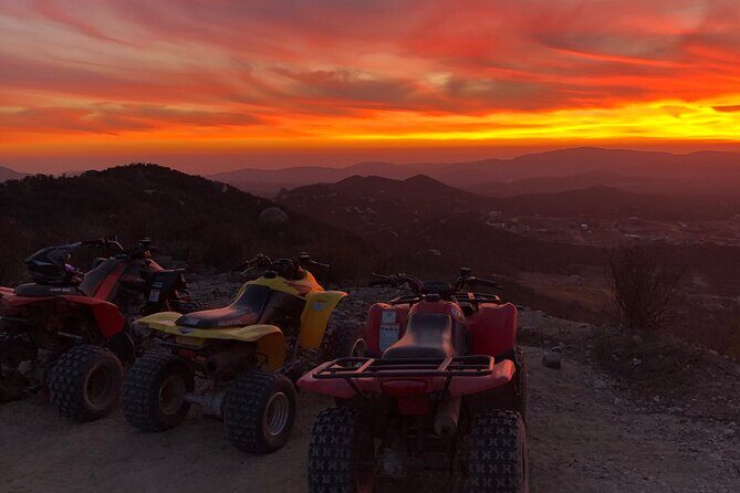 ATV Off-Road Adventure through Valle de Guadalupe + Winery Visit - What Real Travelers Say