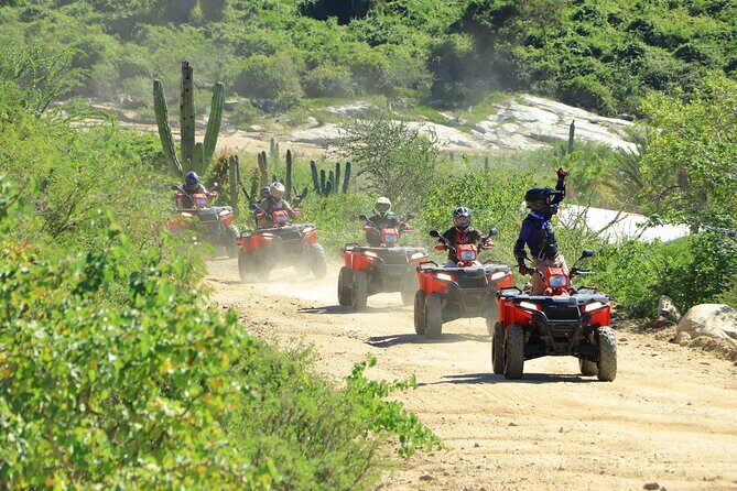 ATV Tour, Camel Ride, Tequila Tasting and Mexican Buffet Lunch - Experience Quality and Guides