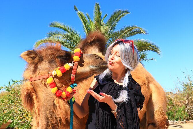 ATV Tour, Camel Ride, Tequila Tasting and Mexican Buffet Lunch - Who Is This Tour Perfect For?