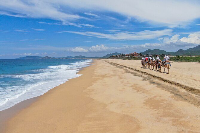 ATV Tour, Camel Ride, Tequila Tasting and Mexican Buffet Lunch - The Sum Up: Is It Worth It?