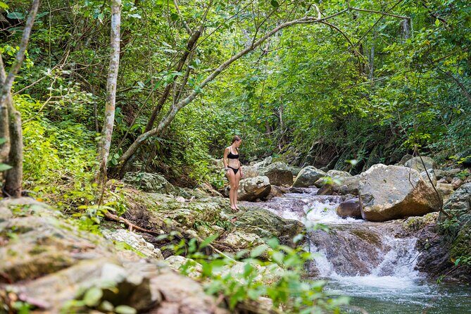 ATV Tour in Puerto Vallarta, waterfall and tequila tasting. - What’s Included and What’s Not
