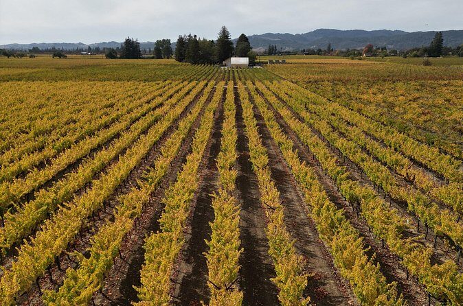 ATV Vineyard Tour and Wine Tasting - Who Would Love This Tour?