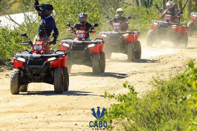 ATVS Beach in Los Cabos Single - A Deep Dive into the ATV Tour Experience