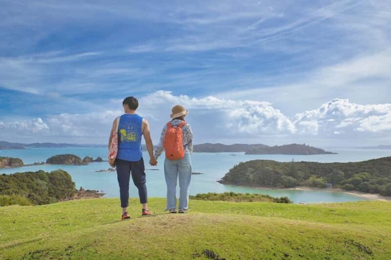 Auckland: 2-Day Bay of Islands Small Group Tour with Cruise - Transportation and Comfort
