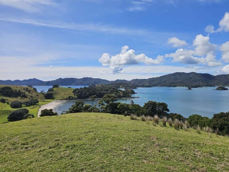 Auckland: 2-Day Bay of Islands Small Group Tour with Cruise - Authentic Insights from Travelers