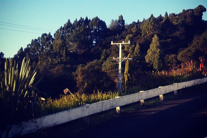 Auckland Airport and City Transfers (To or from) - Authentic Insights from Reviewers