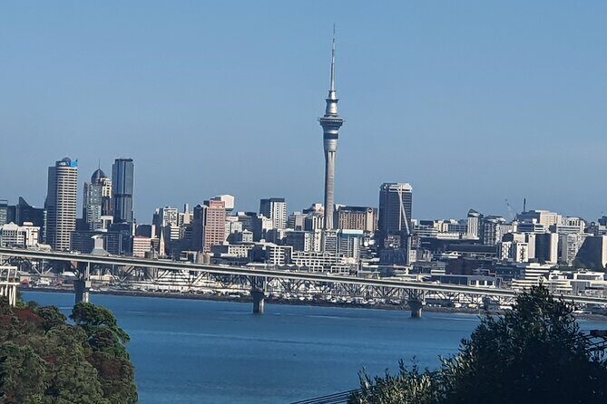 Auckland Airport PRIVATE Transfer to or from Auckland City Hotels - Detailed Look at the Transfer Experience