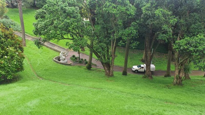 Auckland: Auckland City Tour 4 hours private - Key Points