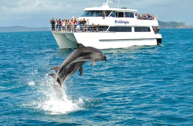 Auckland: Bay of Islands Day Tour with Dolphin Cruise - Final Thoughts