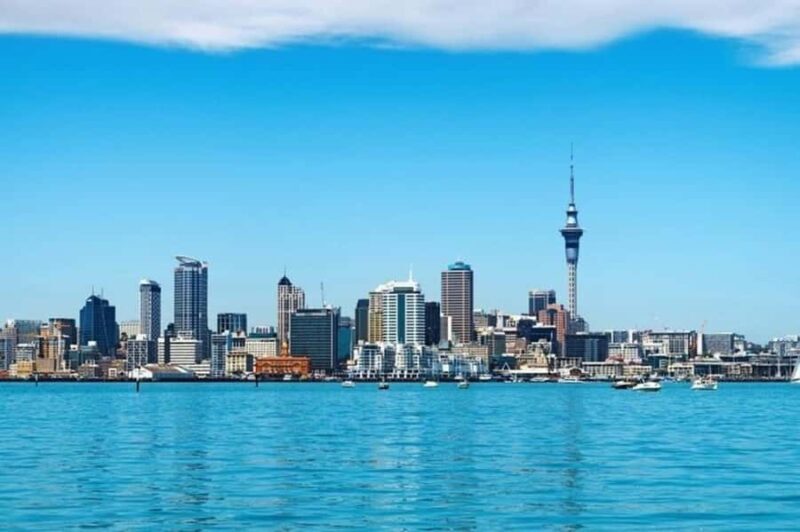 Auckland: Best Street Food Tour With A Local Guide - The Value of a Guided Food Tour