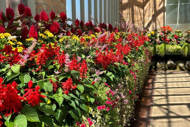 Auckland Best Top 5 Spots Half day Tour - FAQ