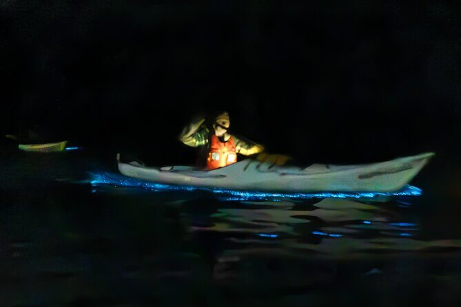 Auckland Bioluminescence Kayak Tour - An In-Depth Look at the Auckland Bioluminescence Kayak Tour