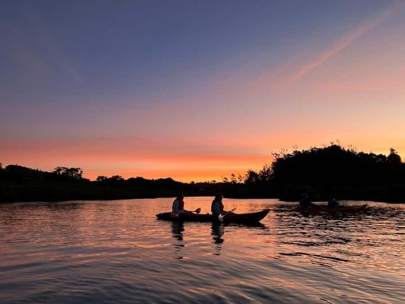Auckland: Bioluminescence Kayak Tour with Guide - The Experience: What You Can Expect