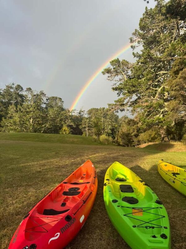 Auckland: Bioluminescence Kayak Tour with Guide - What the Reviews Tell Us