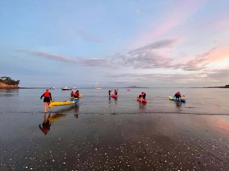 Auckland: Bioluminescence Kayak Tour with Guide - The Sum Up: Is This Tour Right for You?