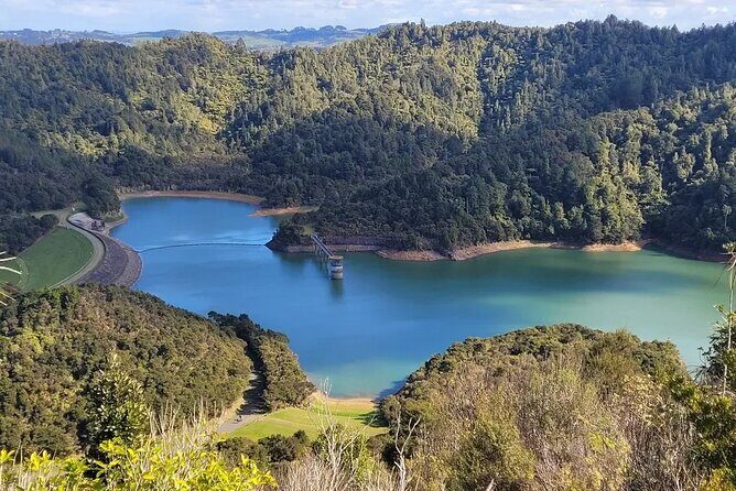 Auckland Birdwatching and Hiking Private Tour - Final Thoughts: Who Is This Tour Best For?