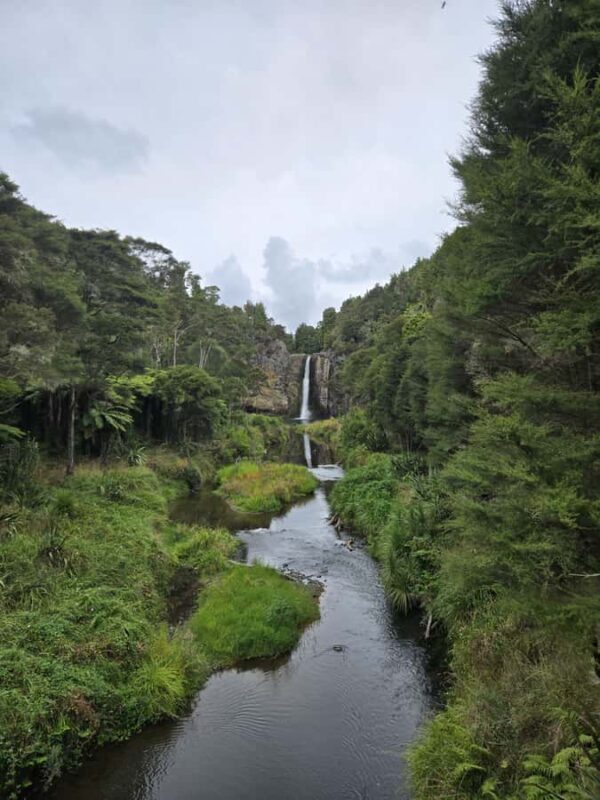 Auckland: Birdwatching, Hiking & Waterfalls Tour - Key Points