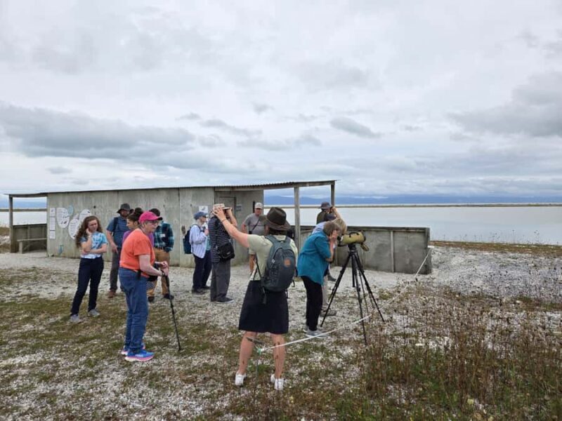 Auckland: Birdwatching, Hiking & Waterfalls Tour - Why This Tour Is a Great Choice