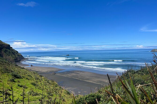 Auckland City and West Coast Black Sand Beach Full Day Tour - Key Points