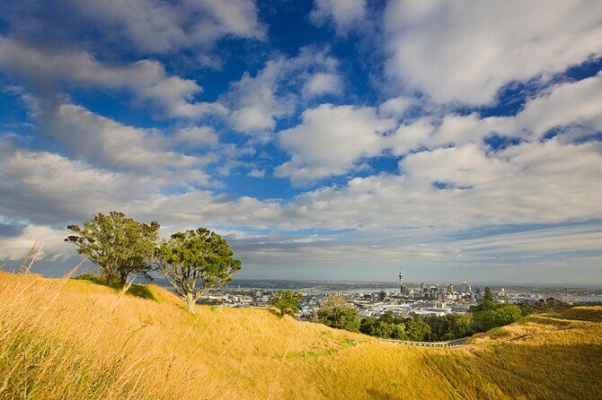 Auckland City and West Coast Full Day Tour - Final Thoughts: Who Should Book This Tour?