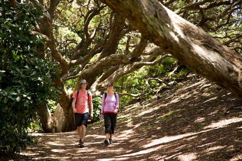 Auckland City and West Coast Luxury Tour - Final Thoughts: Is This Tour Right for You?