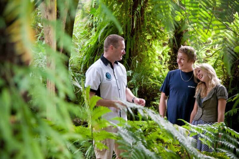 Auckland City and West Coast Luxury Tour - Frequently Asked Questions