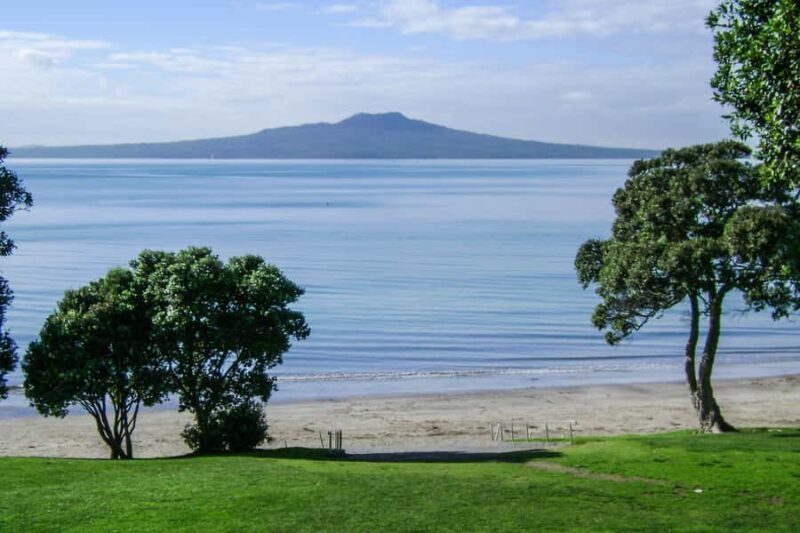 Auckland City, Beaches & Rainforest Premium Small Group Tour - An In-Depth Look at the Tour Experience