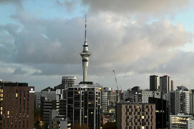 AUCKLAND CITY Full Day Tour with War Memorial Museum and Mt Eden - Key Points