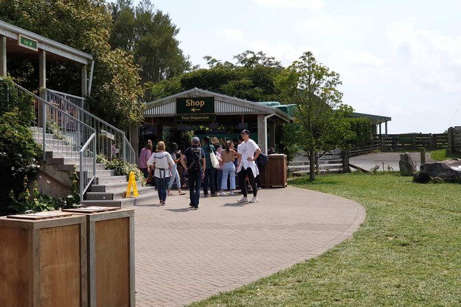 Auckland City Half Day Tour - What We Love and Consider