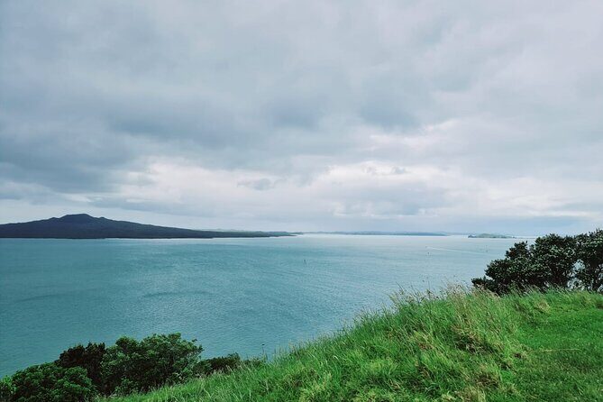 Auckland City Half Day Tour - Who Should Consider This Tour?