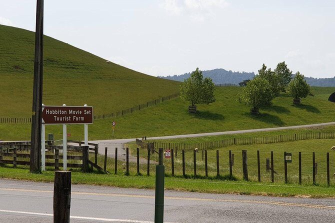 Auckland City Half Day Tour - Final Thoughts