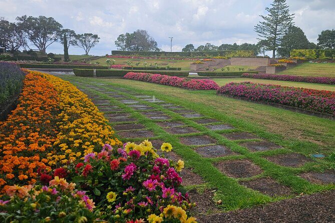 Auckland City Halfday Guide Tour - FAQs