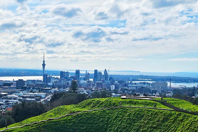 Auckland City Halfday Main Tour - Comfort, Convenience, and Value