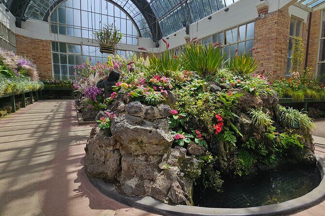 Auckland City Halfday Tour - The Sum Up