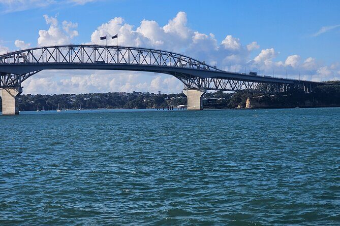 Auckland City Highlight Halfday Tour - Final Thoughts