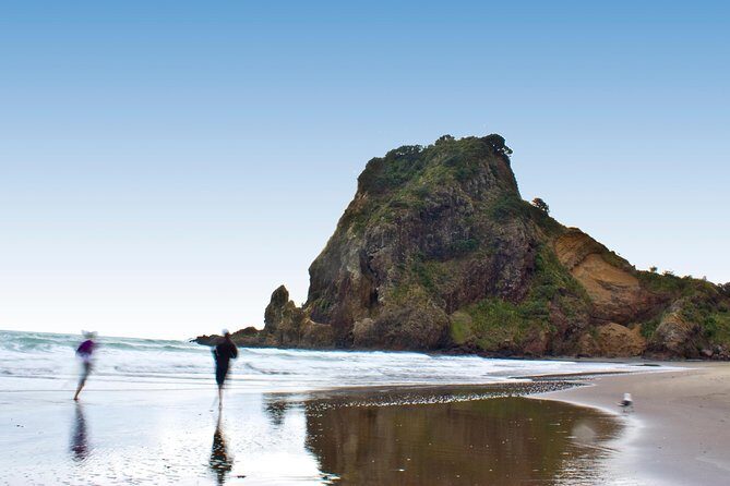Auckland City Highlights, Afternoon Piha Beach & Rainforest Tour - What to Expect from the Auckland City Highlights, Piha Beach & Rainforest Tour