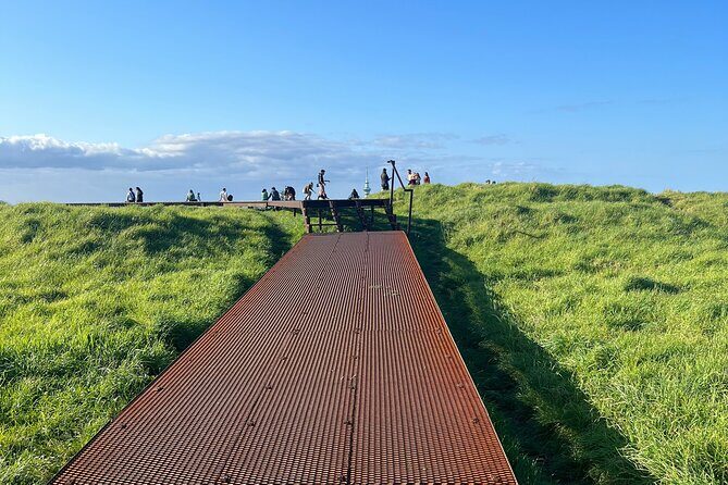 Auckland City Highlights and Hidden Gems Half Day Tour - Key Points